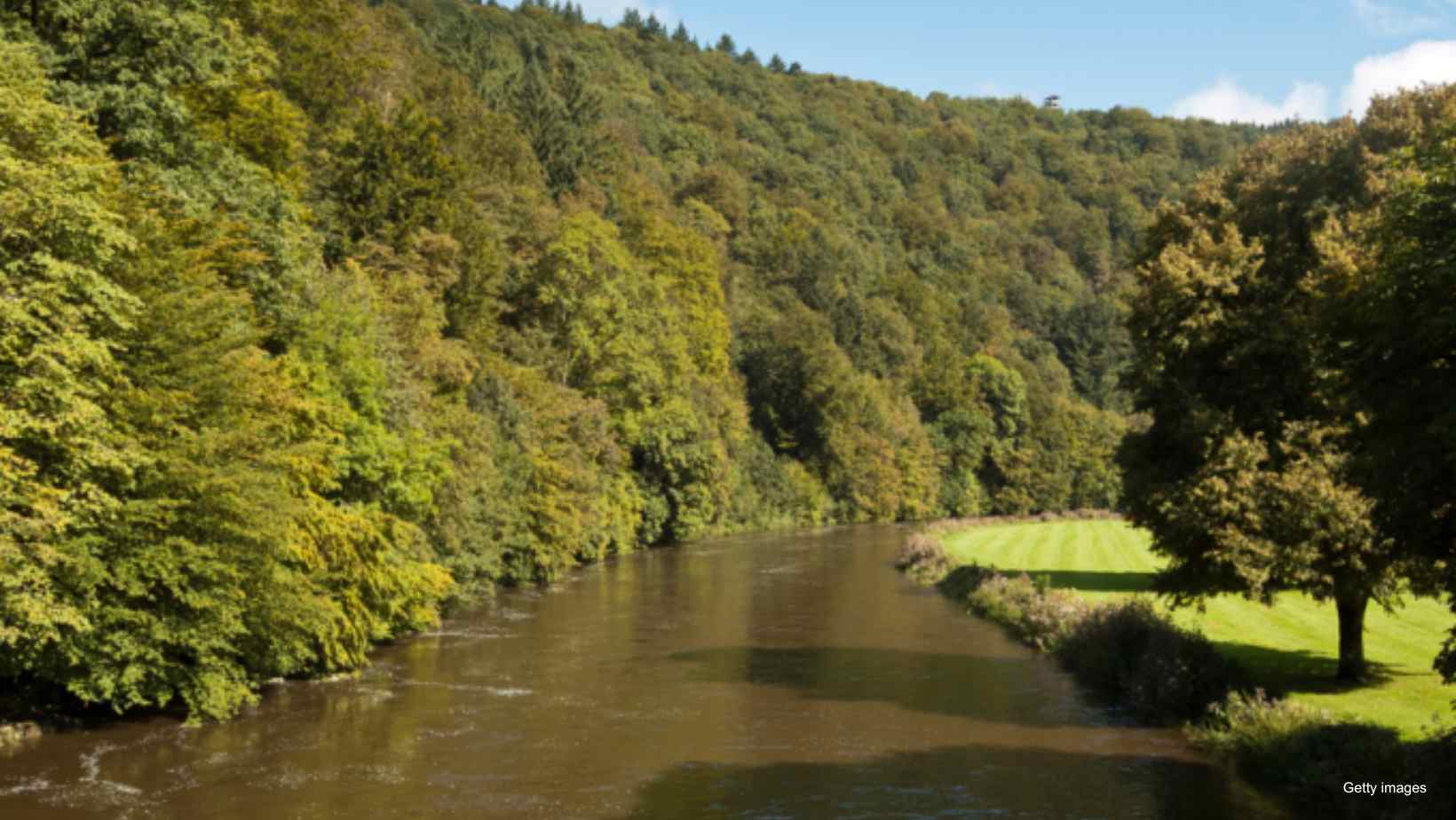 Rewilding van onze Belgische natuur | Rangerclub